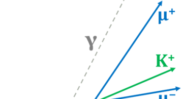 The cms detector | CMS Experiment